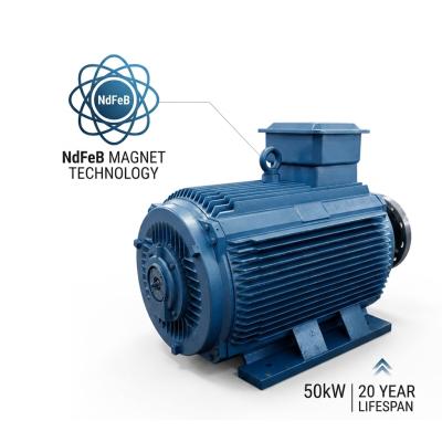 China 50kW Direct Drive Permanent Magnet Generator NdFeB 20 Year Lifespan 380V for sale