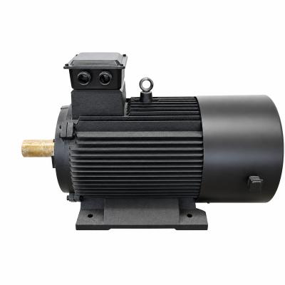 China IE5 IP68 Waterproof 22kW Submersible Permanent Magnet Motor for Deep Well Pump for sale