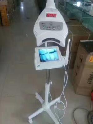 Cina I denti hanno condotto l'imbiancatura la lampada/denti si preoccupano la luce principale in vendita
