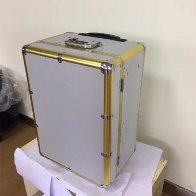Cina Unità di Mini Suitcase Veterinary Portable Dental con il supporto 6pcs e l'aspirazione in vendita