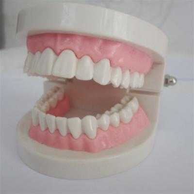 Cina Modello standard Detachable di cura di PlasticTeeth di 1:1 in vendita