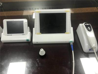 Cina Analizzatore a 8 pollici dell'umidità della pelle del cuoio capelluto dei capelli dei Wi Fi del monitor BM-868 in vendita