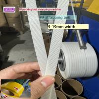 China Twin Screw PP Strap Making Machine PLC PP Strapping Roll Manufacturing Machine for sale