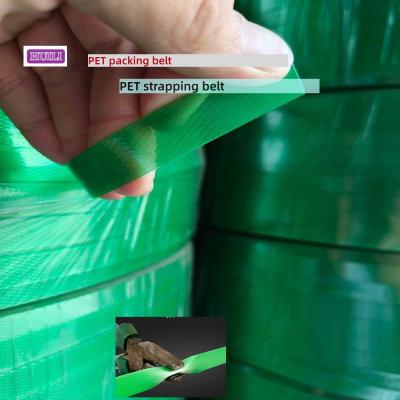 China High-Quality PET Packaging Strap 16–19mm Manual PET Strapping for Metal Buckle Tools for sale