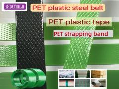 PET plastic steel belt