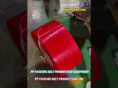 PP strapping production line