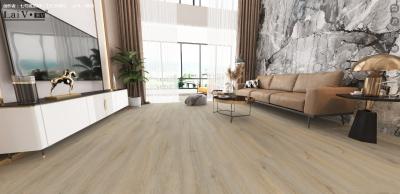 Cina clic del vinile di Spc di spessore di 8mm che pavimenta grano di legno per l'appartamento in vendita