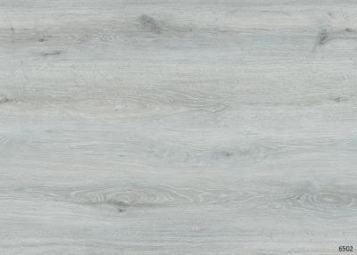 Cina Plastica dell'interno della pietra della serratura di clic della pavimentazione 4-8mm di struttura EIR SPC della QUERCIA in vendita