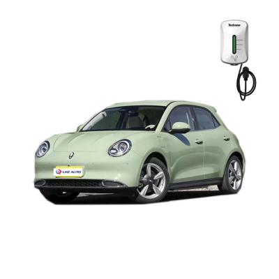 Cina Veicoli energetici nel 2024 Ora Haomao SUV elettrico puro con standard Euro VI in vendita