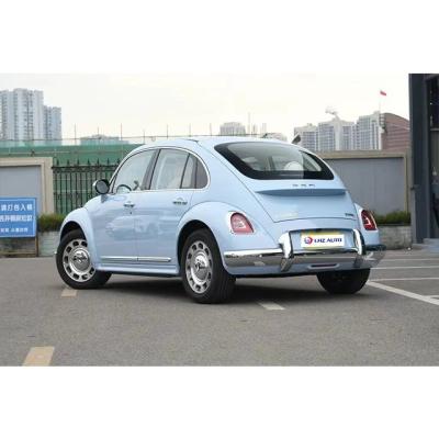 Cina Ora Motors e Ora Ballet Cat i modelli più richiesti per i veicoli a energia nel 2024 in vendita