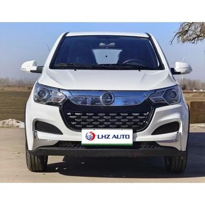 Cina Mini EV Car per il lavoro 100% elettrico e adatto senza patente di guida in vendita