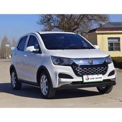 Cina Mini EV Car per il lavoro 100% elettrico e adatto senza patente di guida in vendita