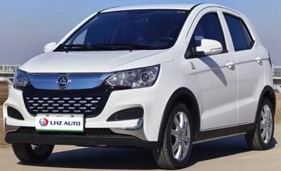 Cina Mini EV Car per il lavoro 100% elettrico e adatto senza patente di guida in vendita