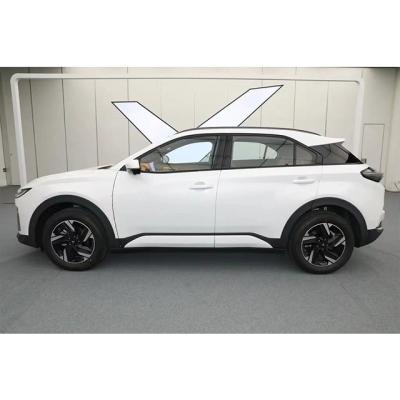 Cina 2024 Neta X 500 km Range Pure Electric Compact SUV Adult Edition con batteria agli ioni di litio in vendita