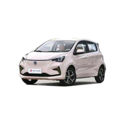 China 2024 EV Car The and Beautiful Electric SUV Car Changan Benben E-Star with 310 km Range for sale