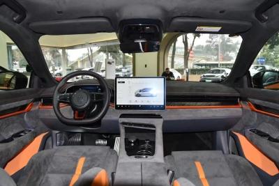 Cina Potenza massima 200-250 PS Veicoli elettrici puri con sistema di intrattenimento auto incluso in vendita