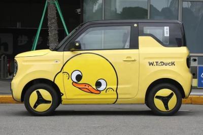 Cina Veicolo Geely Panda Mini Energy dotato di telecamera posteriore con 200 km di autonomia e 3 cilindri in vendita