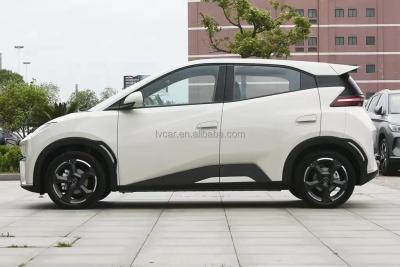 Cina 2023 BYD Seagull Veicolo elettrico a 5 porte e 4 posti Ev Car con batteria di 30,08 kWh in vendita
