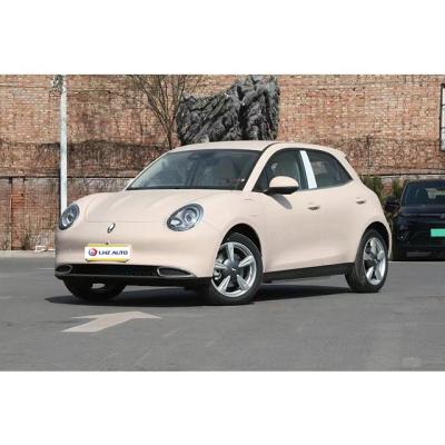 Cina 2023 ORA SUV elettrico Auto con condizionatore automatico e sistema di intrattenimento auto in vendita
