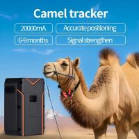 Quality Camel GPS Monitoring Solution Real Time GPS Tracking With Voice Intercom for sale