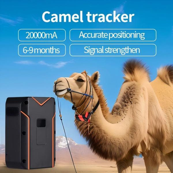 Quality Camel GPS Monitoring Solution Real Time GPS Tracking With Voice Intercom for sale
