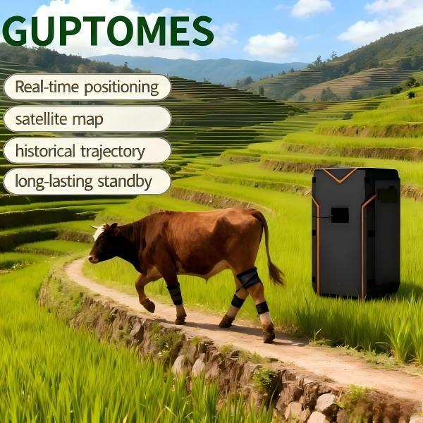 Quality Long Standby Cattle GPS Tracker GPS BDS WIFI Livestock Tracker 20000mAh Battery for sale
