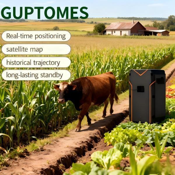 Quality Durable Super Long Standby Livestock GPS Tracker Real Time Monitoring For Cattle for sale