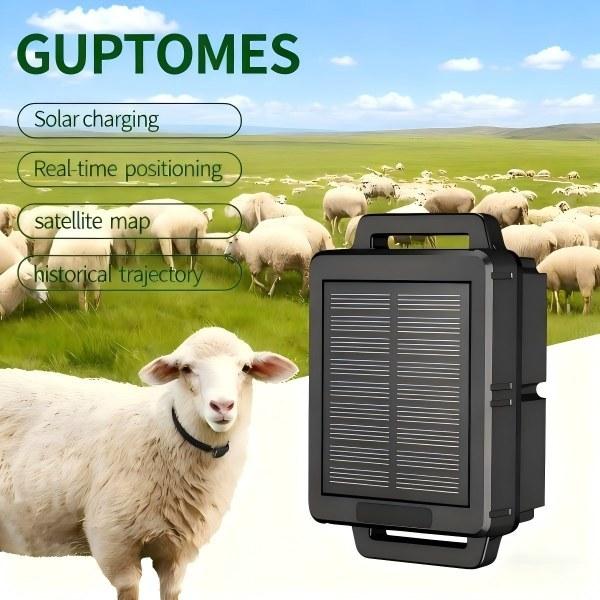 Quality Solar Charging Sheep GPS Tracker Device IP68 Waterproof 10000mAh Battery For Monitoring for sale