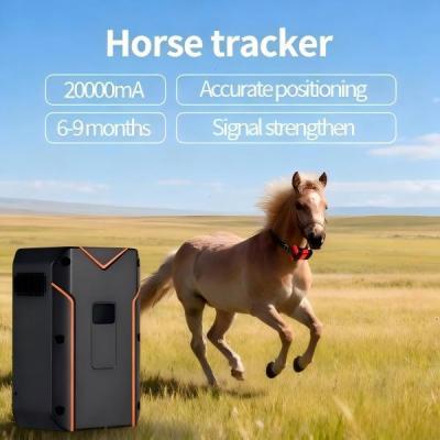 China Tear Proof Horse GPS Tracker Collar 20000mAh Battery With Voice Intercom for sale