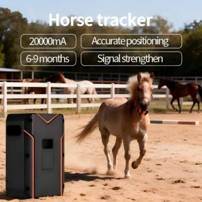 China Compact Horse GPS Tracking Device  412g Livestock Real Time Tracking Historical Trajectory for sale
