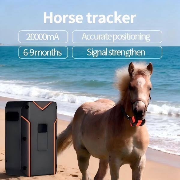 Quality Durable Dual Mode GPS Tracking Device For Horses GPS BDS WIFI Livestock Tracking for sale