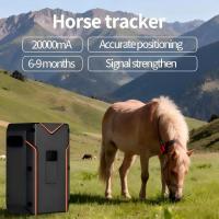 Quality GPS BDS Horse Tracking Device For Accurate Positioning 20000mAh Super Long for sale