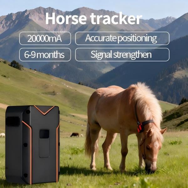 Quality GPS BDS Horse Tracking Device For Accurate Positioning 20000mAh Super Long for sale