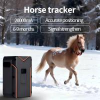Quality 20000mAh Long Standby Horse GPS Tracker Device Multi Technology BDS / WIFI / LBS for sale