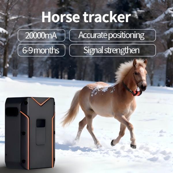 Quality 20000mAh Long Standby Horse GPS Tracker Device Multi Technology BDS / WIFI / LBS for sale