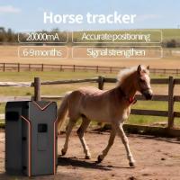 Quality Horse Livestock Animals GPS Tracker 20000mAh Battery Accurate Satellite for sale