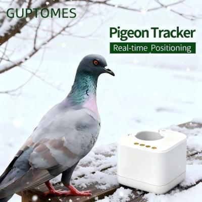 China 2.6g Lightweight Racing Pigeon GPS Tracker Tamper Proof Non Real Time GPS Tracker Ring for sale