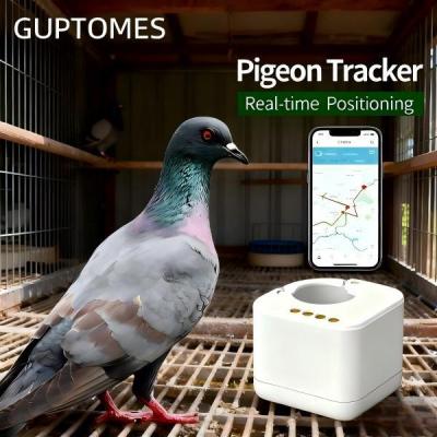 China 2.6g Non Real Time Pigeon Tracker Ring 36hr Battery Local Encrypted Storage for sale