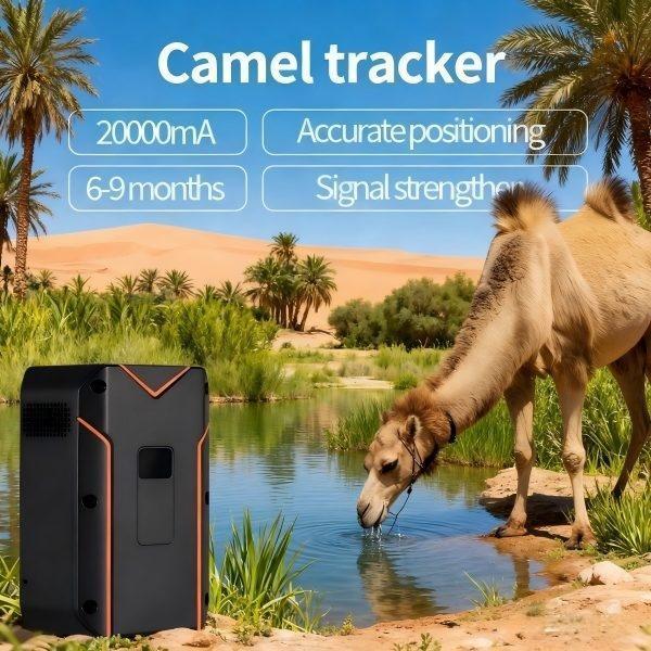 Quality 20000mAh Camel GPS Tracker 412g Compact GPS For Livestock Monitoring for sale