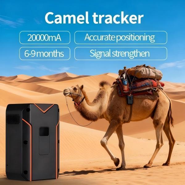 Quality Voice Intercom Camel Tracking Device With Geo Fencing Real Time Historical Trajectory for sale