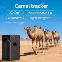 Quality Durable Camel GPS Tracker GPS BDS WIFI Multi Positioning For Harsh Environment for sale