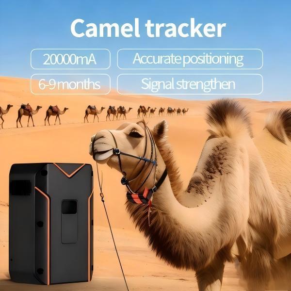 Quality High Precision Camel GPS Tracker With 20000mAh Battery And Voice Intercom for sale
