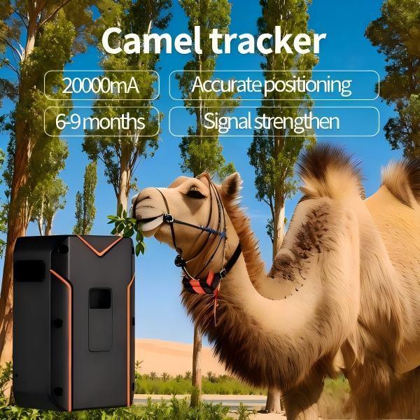 Quality Long Standby Camel GPS Tracker Weatherproof 20000mAh Animal Tracking And GPS System for sale