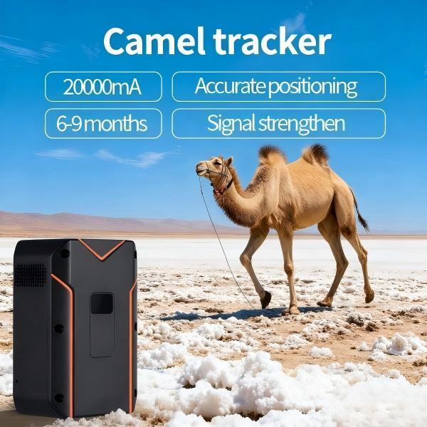 Quality Camel Livestock Animals GPS Tracker Long Standby Multi Mode Accurate Positioning for sale