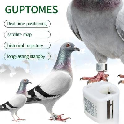Китай GPS+LBS трекер для голубей, высокая точность 5-15 м, водонепроницаемый, 80 мАч, зарядка Type-C продается