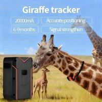 Quality Giraffe Large Wildlife Animal Tracking System 20000mAh Battery GPS BDS Tracker for sale