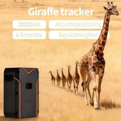 Китай GPS трекер для животных с длительным временем работы 20000 мАч для верблюдов / скота продается