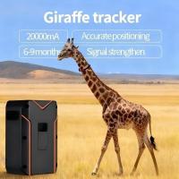 Quality 20000mAh Battery Animal Tracking Systems Camel Giraffe GPS Tracking Collars For for sale