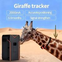 Quality CE Approved Standby Wildlife GPS Tracker For Camel Giraffe Real Time Tracking for sale
