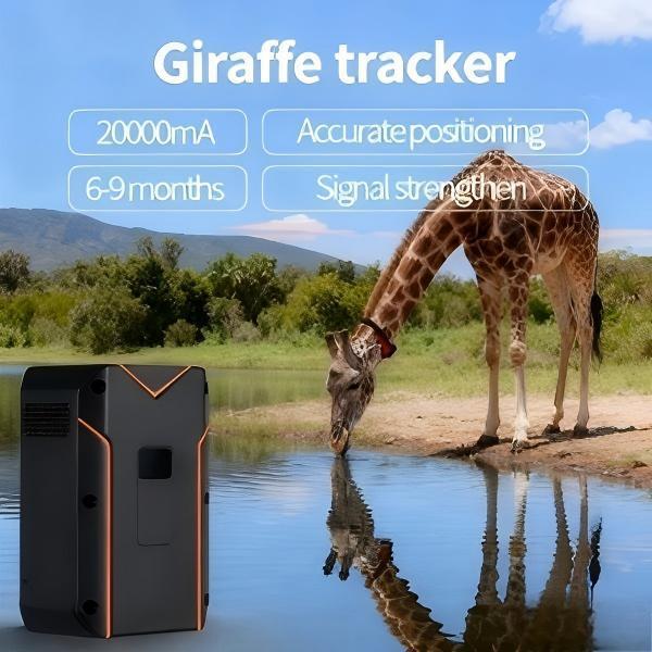 Quality Voice Intercom Camel Wildlife GPS Tracker High Positioning Geo Fence GPS Tracker for sale